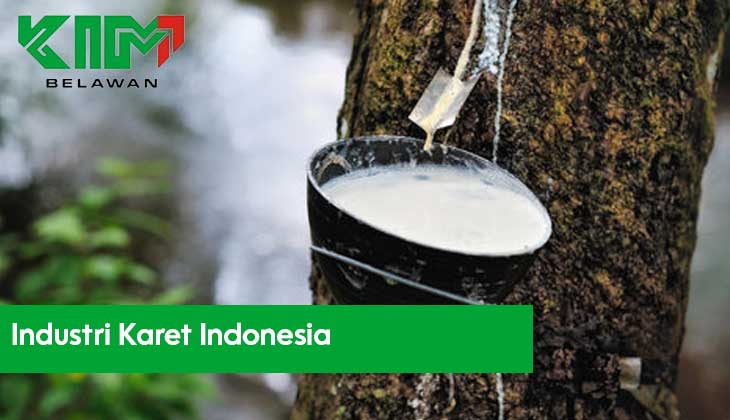 Mengenal Industri Karet Peran, Manfaat,nya - Kim Belawan